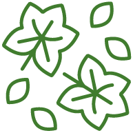 Plant-Based Gourmet Food | Singular Bites